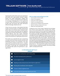 Data Quality Audit TDWI