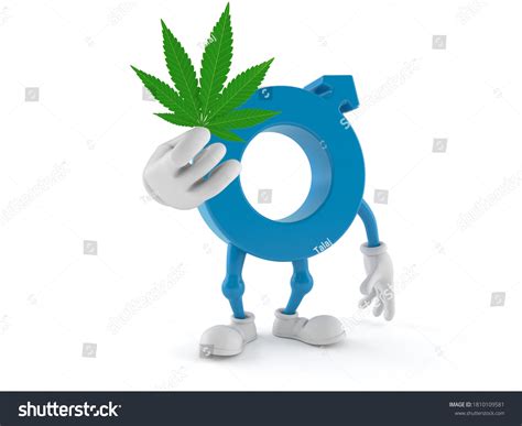 Gender Cannabis Plants Over 13 Royalty Free Licensable Stock