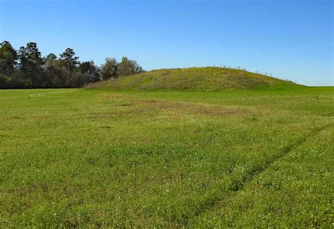 Heres A Rare Look Inside The Olf 8 Property Wetlands And Woods Offer