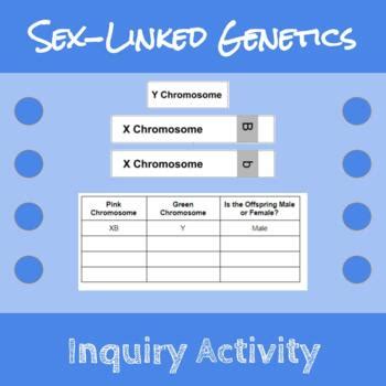 Sex Linked Genetics Inquiry Activity By Erin Frankson TPT