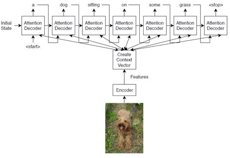 Image Captioning Using Attention Matlab And Simulink
