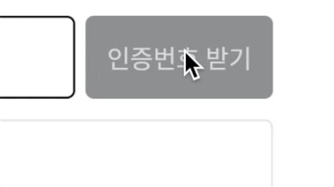 문자인증 타이머 만들기 gwan woo s devlog
