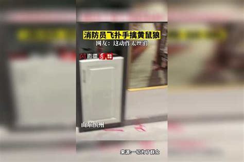 黄鼠狼私闯民宅，消防员飞扑手擒动作丝滑，还有什么事是消防员做不到的吗～民宅黄鼠狼动作
