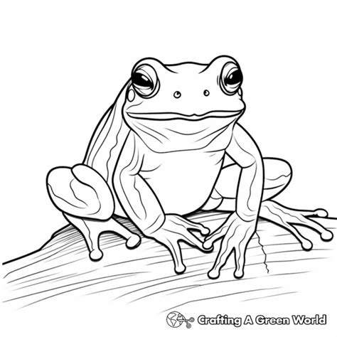 Tree Frog Coloring Pages Free Printable