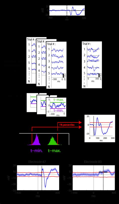 Figures Figure 1 Illustration Of The Onset Latency Estimation Method Download Scientific Diagram