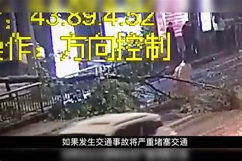 数米高的大树被雪压倒横在路中间，女学生徒手清理树枝，一旁等公交的人却无动于衷！