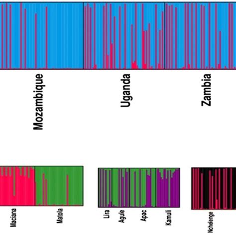 Bayesian Cluster Analysis Using Structure Graphical Representation Of Download Scientific