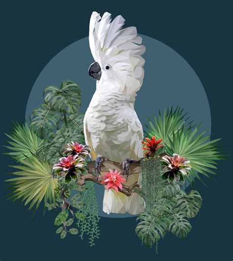 Umbrella Cockatoo And Amazon Plants 3564527 Vector Art At Vecteezy