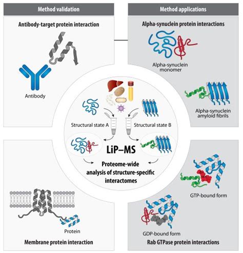 Systematic Identification Of Structure Specific Proteinprotein Interactions Department Of