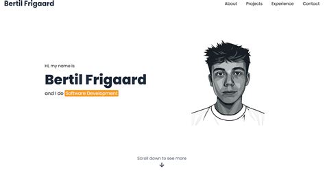 Bertil Frigaard Software Developer