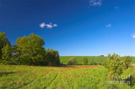 A Green Landscape Photograph By Michal Bednarek Fine Art America