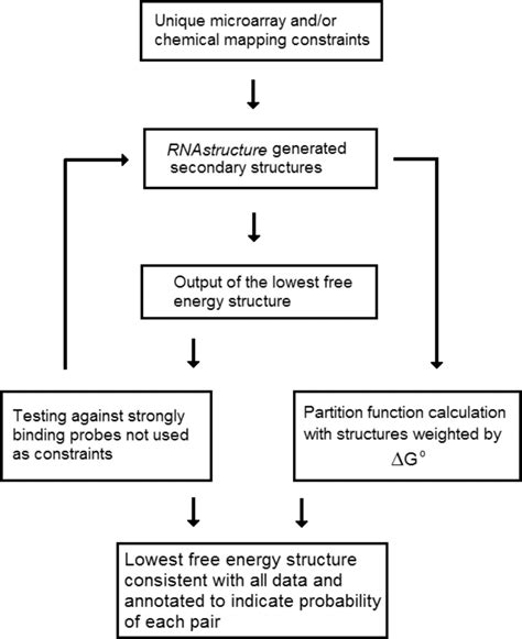 Flowchart For Modeling RNA Secondary Structure With Constraints From Download Scientific
