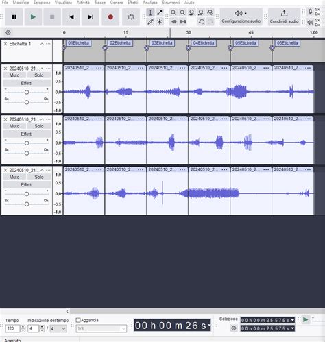 Exporting Segments From Multiple Tracks At The Same Time Windows Audacity Forum