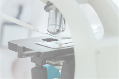 Bespoke Assay Development Assay Services Nexus