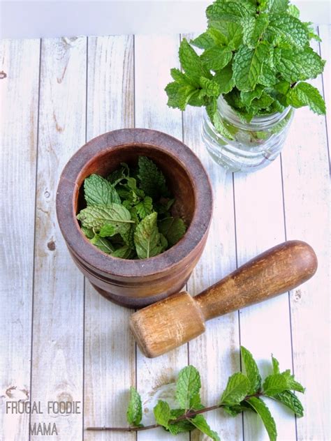Frugal Foodie Mama Easy Homemade Mint Extract
