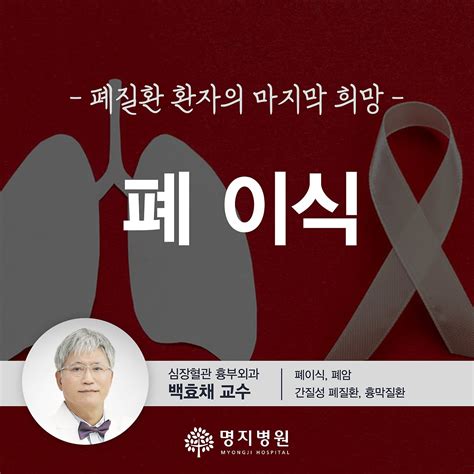 폐 질환 환자의 마지막 희망 폐 이식 네이버 포스트