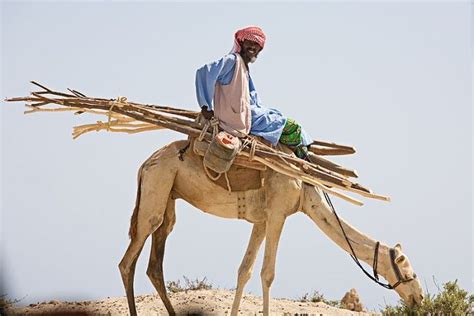 9 Best 9 Eritrean Ethnic Groups Images On Pinterest