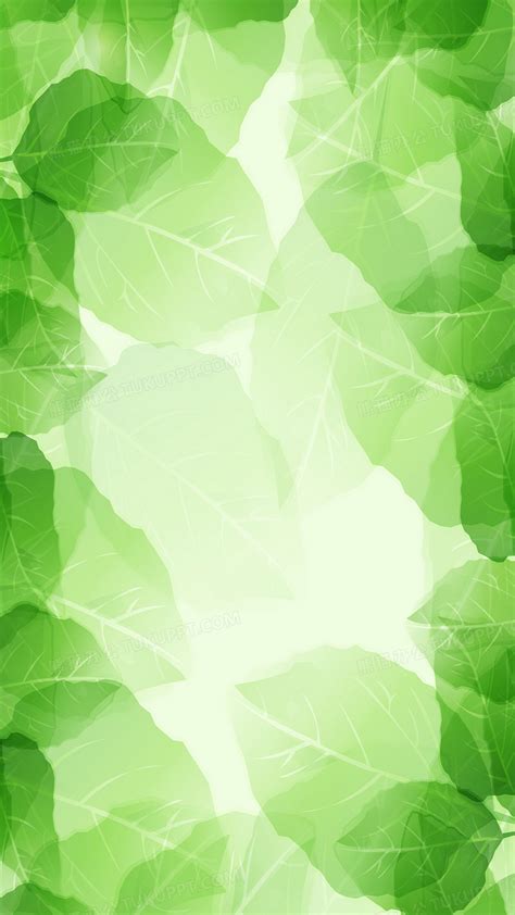 小清新绿色树叶边框h5背景素材背景图片素材免费下载 熊猫办公