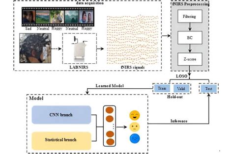 Cross Subject Emotion Recognition Brain Computer Interface Based On Fnirs And Dbjnet