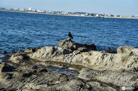 神奈川江之岛日本动漫取景地海景美如画 搜狐大视野 搜狐新闻