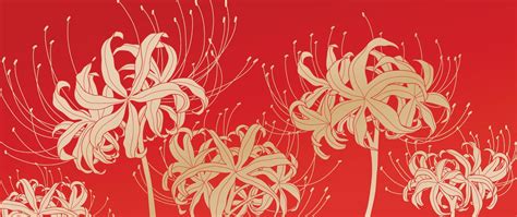 Stunning Red Spider Lily Wallpaper For Your Device