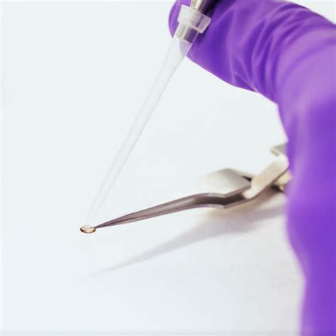 Method Validation Gmp Qutem