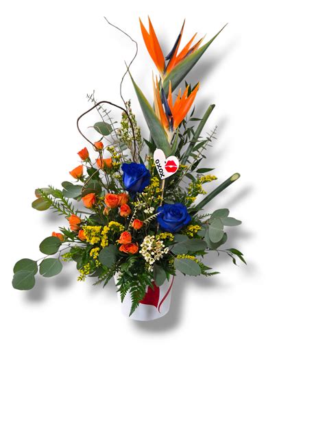 Bouquet Exotique Roses Bleues Et Oiseau Du Paradis Fleur De Guy