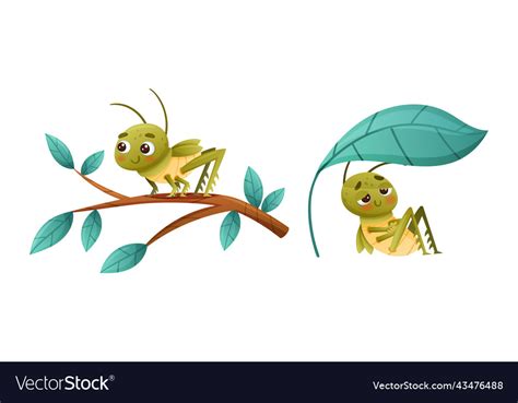 Cute Little Grasshopper Character Sitting Under Vector Image
