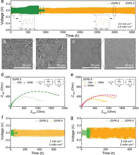 Zgpe‐based Zn Symmetric Cell Investigation A Long‐term Symmetric Cell