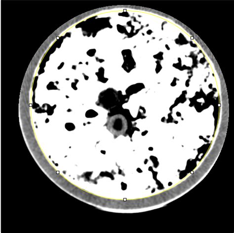 Template Matching Plugin Doubt Image Analysis Imagesc Forum