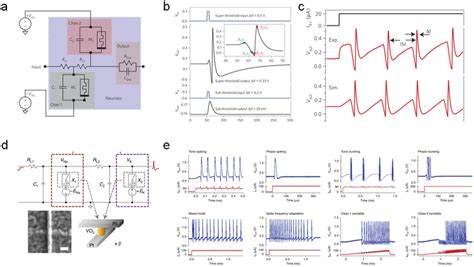 Demonstration Of Hh Neurons And Neuronal Behaviors A Circuit Diagram