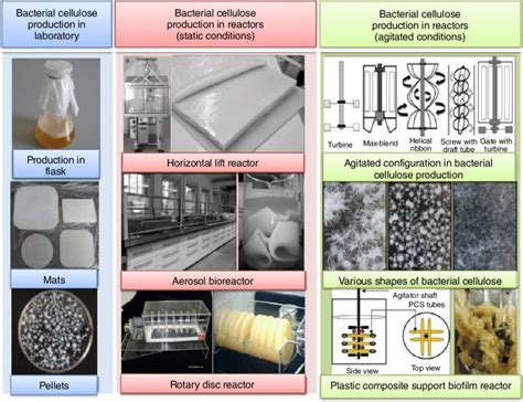 4 Various Bioreactors Designed For Enhanced Production And Productivity Download Scientific
