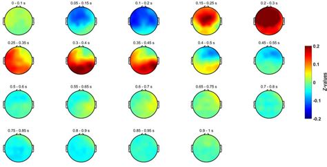 Spatial Distribution For The Baseline Corrected Evoked Potentials For Download Scientific