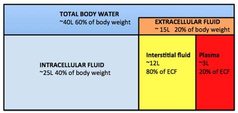 Flashcards Physiology Fluid Compartments And Capillaries Quizlet