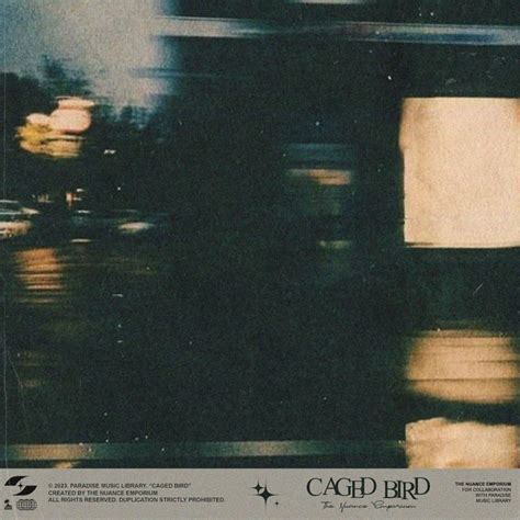 The Nuance Emporium Caged Bird Sample Chops The Nuance Emporium