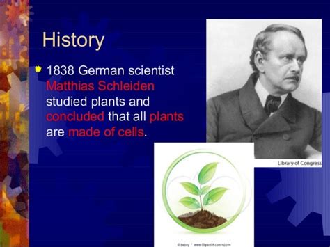 71 Cell Discovery And Theory