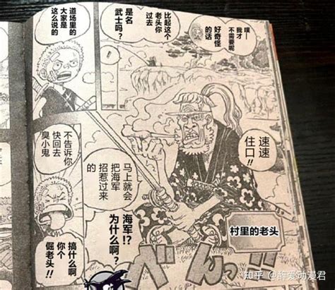 海贼王1033话汉化，不但索隆霸王色觉醒，烬其实也有霸王色霸气 知乎