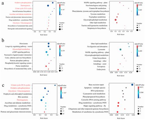 Genes An Open Access Journal From Mdpi