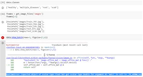 Error Datashowbatch Runtimeerror Expected Object Of Scalar Type