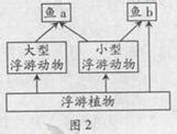 当前 我国农业的发展已由科技含量较低的传统农业向现代农业转变 现代农业虽然产量大大提高 但由于大量施用化肥 农药 造成了严重的环境污染 因此