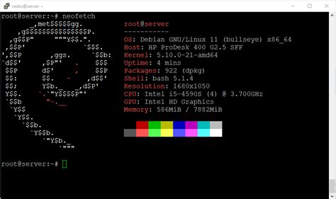 guía para instalar y configurar firewall en servidor debian 11
