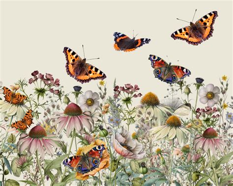 Designing A Thriving Butterfly Garden Transforming A 5m 5m Plot Into A