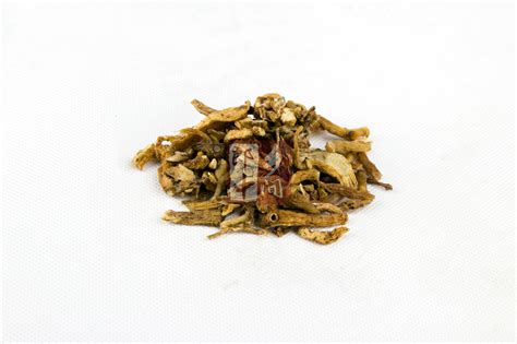 玉竹的功效与作用 图片 禁忌 乡间郎中