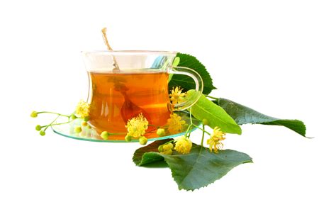 Green Tea Png Hq Image 96498 2171x1417 Pixel