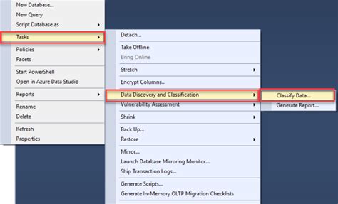 Sql Data Discovery And Classification In Ssms 175 Sqlservercentral