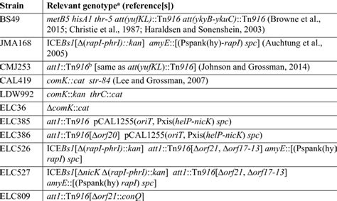 Bacillus Subtilis Strains Used 532 Download Scientific Diagram