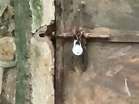 Samsung Galaxy Note 20 Ultra Camera Review Effective Is The Word