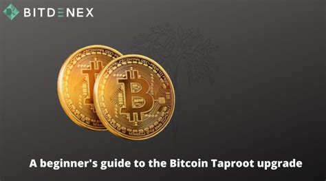 A Beginners Guide To The Bitcoin Taproot Upgrade Bitdenex