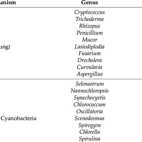 List Of The Principal Genera Of Fungi Microalgae And Bacteria Used In Download Scientific