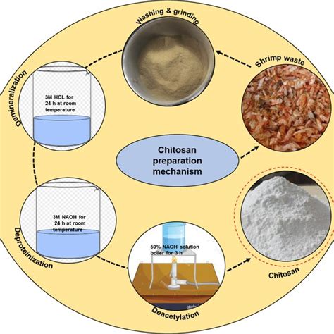 The Extraction Of Chitosan From Shrimp Waste By Chemical Extraction